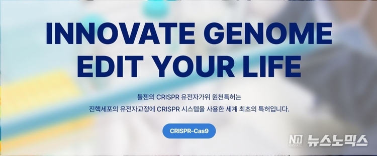 툴젠 ‘TGT-001’ 미국 FDA ODD 승인…글로벌 임상 준비 본격화